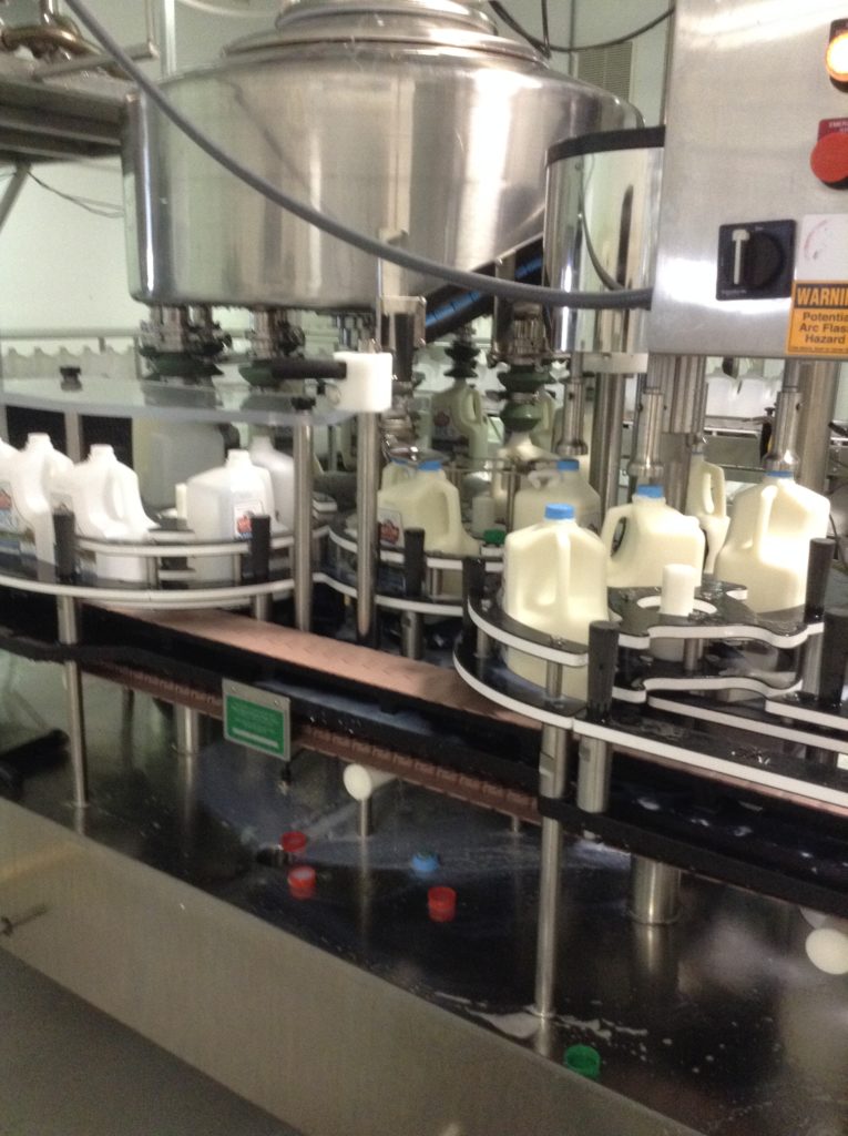 How is Milk Made? From Cow to Table • Dairy Carrie