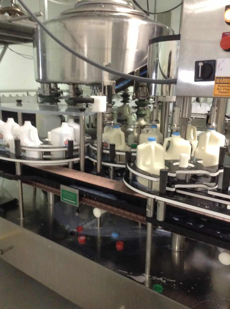 How is Milk Made? From Cow to Table • Dairy Carrie