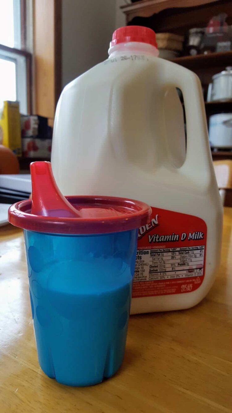 How is Milk Made? From Cow to Table #InternSarah • Dairy Carrie