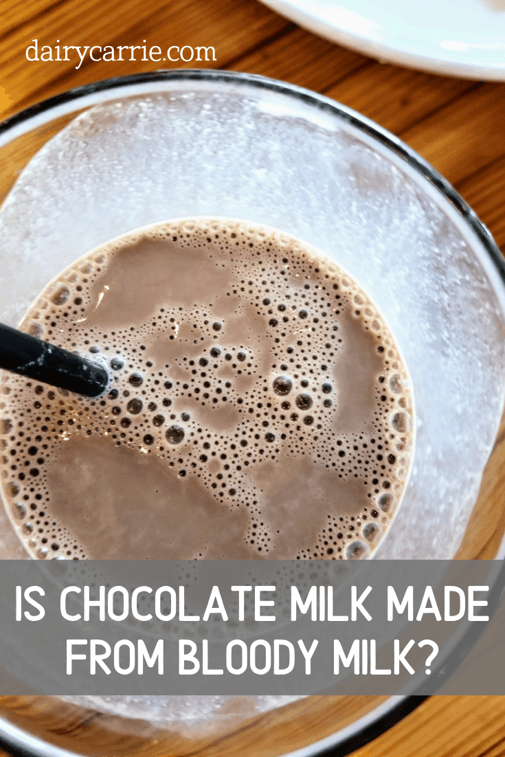 Is chocolate milk made from bloody milk? • Dairy Carrie